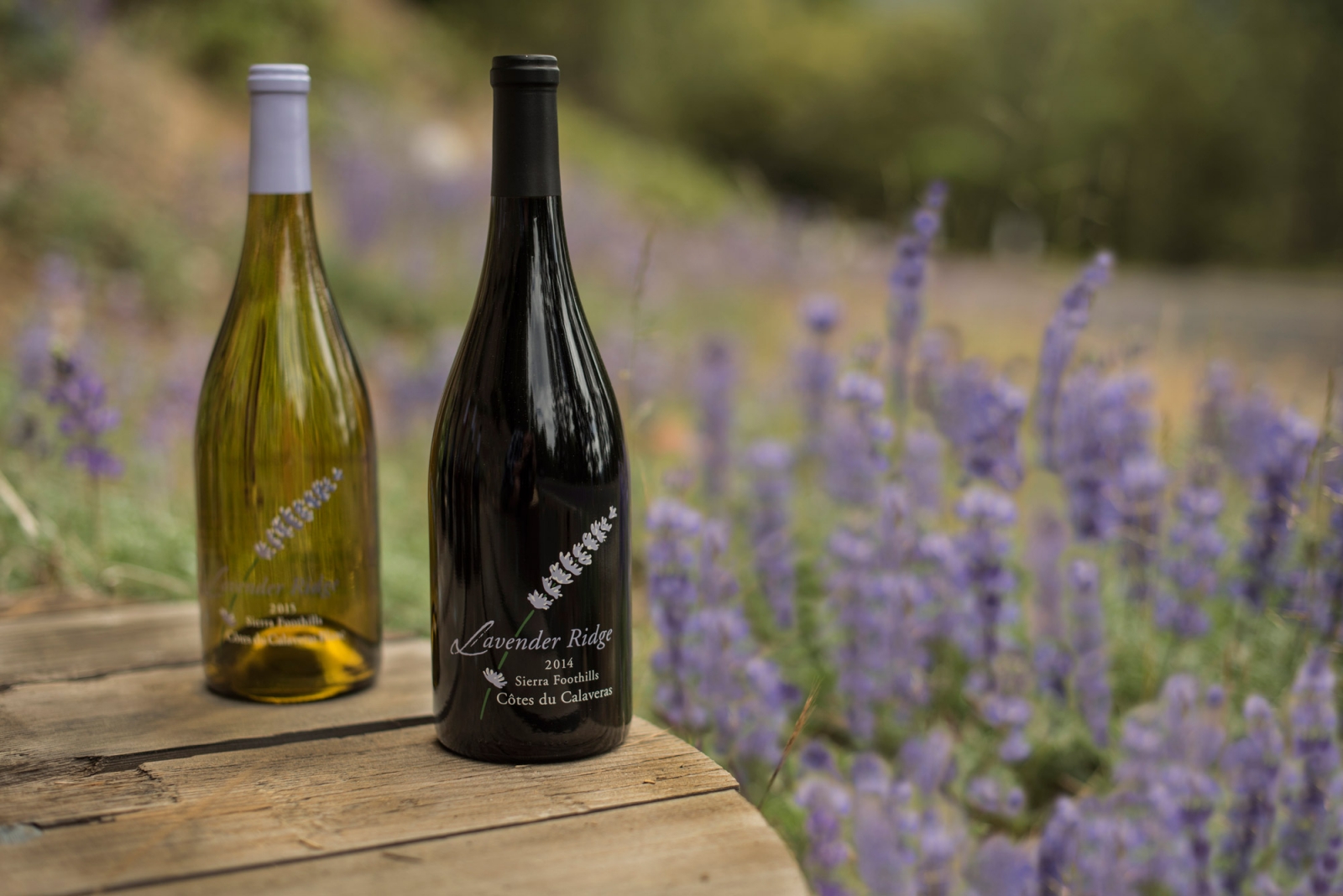 Wines » Lavender Ridge Vineyard